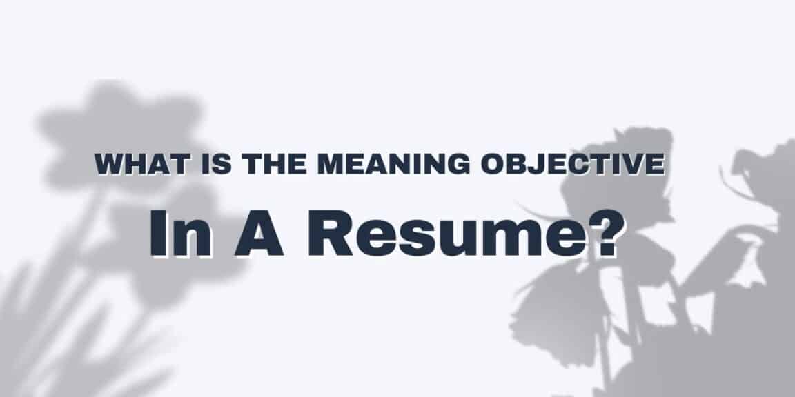 Resume Objective Meaning, Examples, Definitions